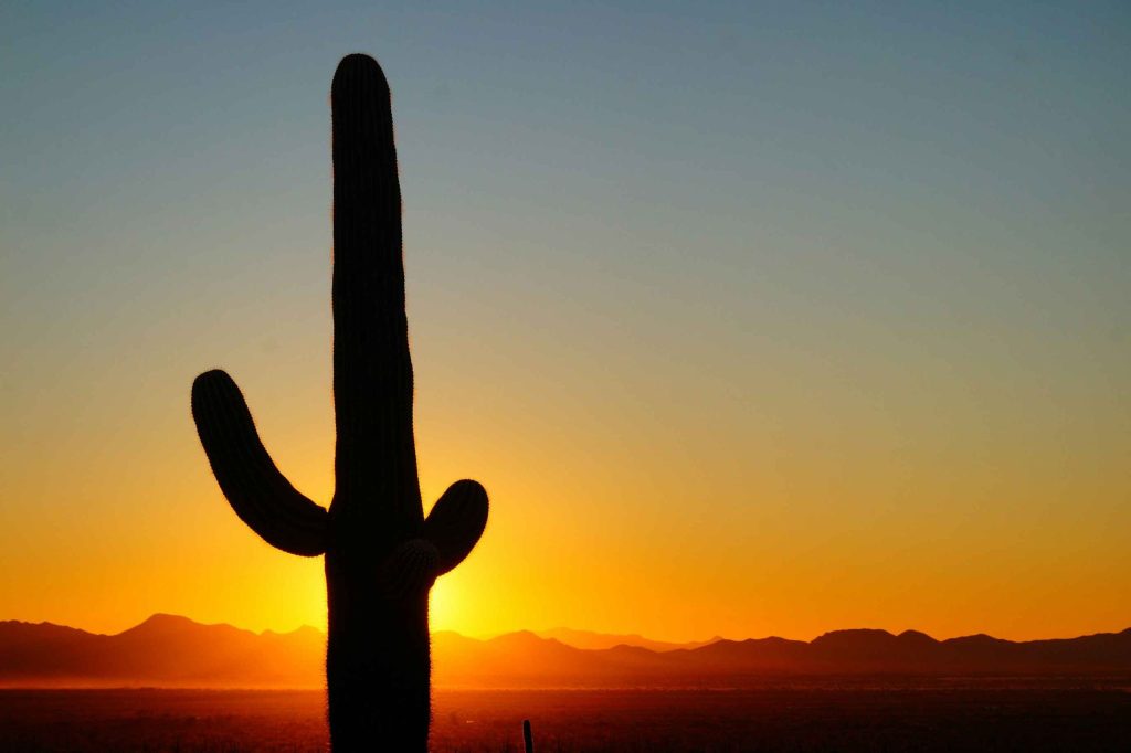 Your Best DropShipping Agent - DropshippingAgent